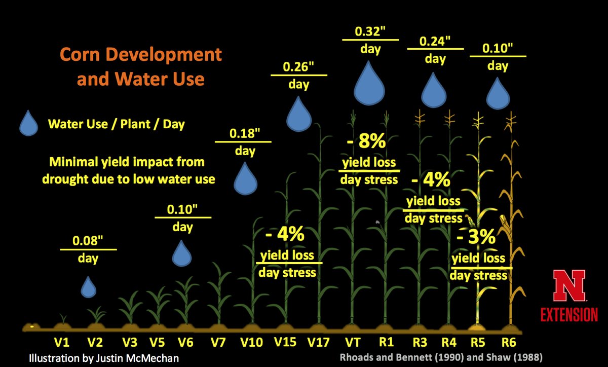 Crop Infographics | CropWatch