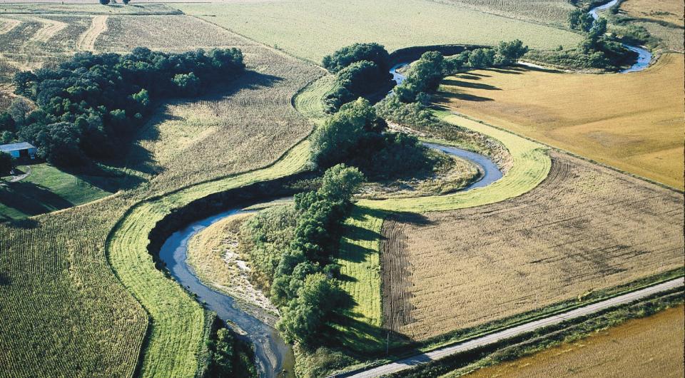 NDA Funding Available for Buffer Strips | CropWatch | University of ...