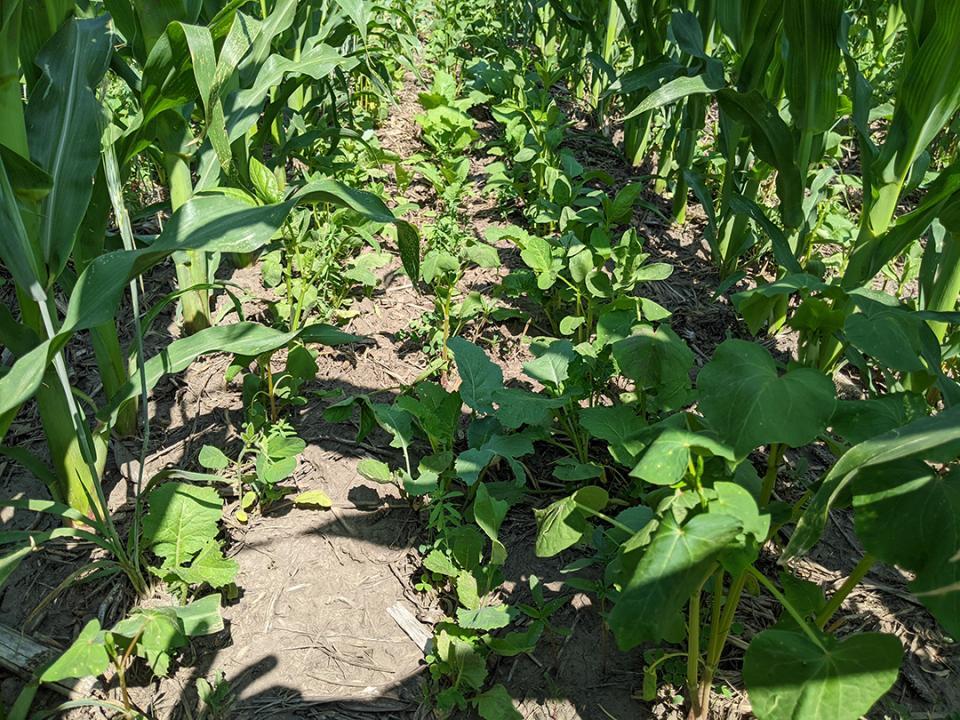 Video Recordings from Eastern Nebraska Soil Health Conference Now ...