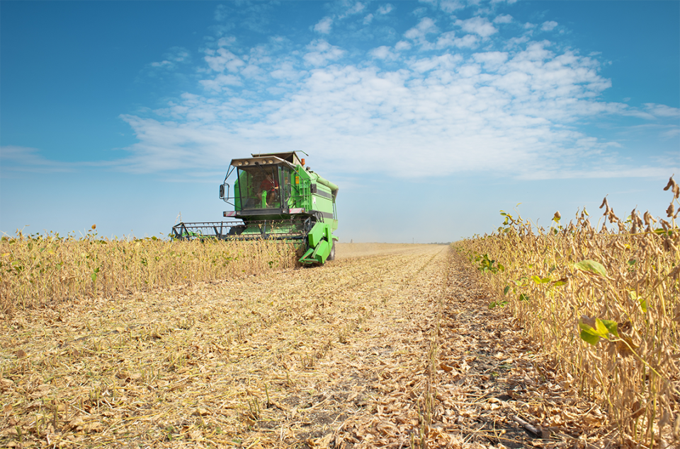 How to Estimate Harvest Losses in Soybean and Corn Fields | CropWatch ...